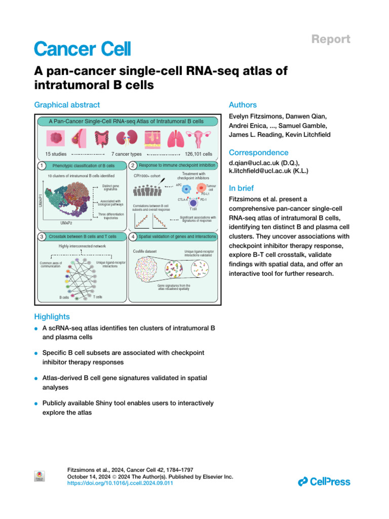 Pan-Cancer Atlas of Intratumoral B Cells | PDF | B Cell | Antibody