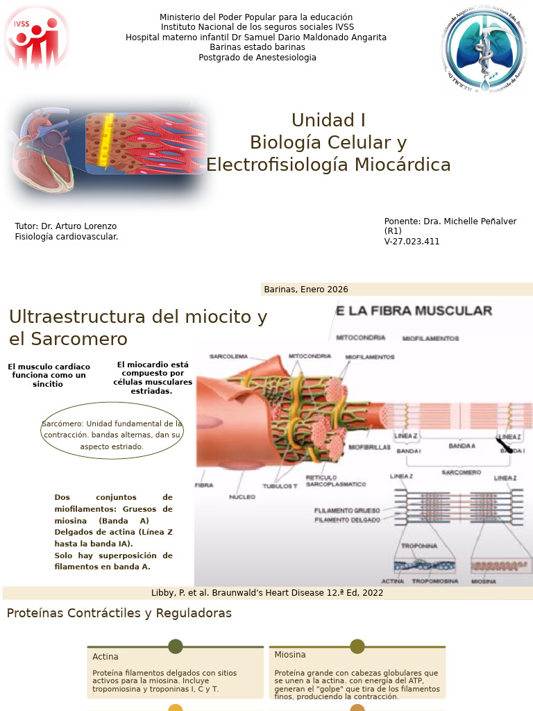 Biologia-Celular-y-Electrofisiologia-Miocardica | PDF | Potencial de ...