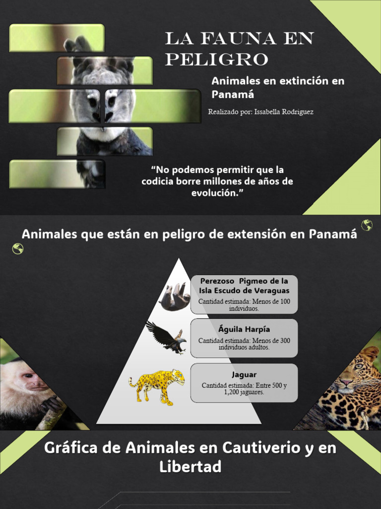 Animales en Peligro de Extincion en Panamá | PDF