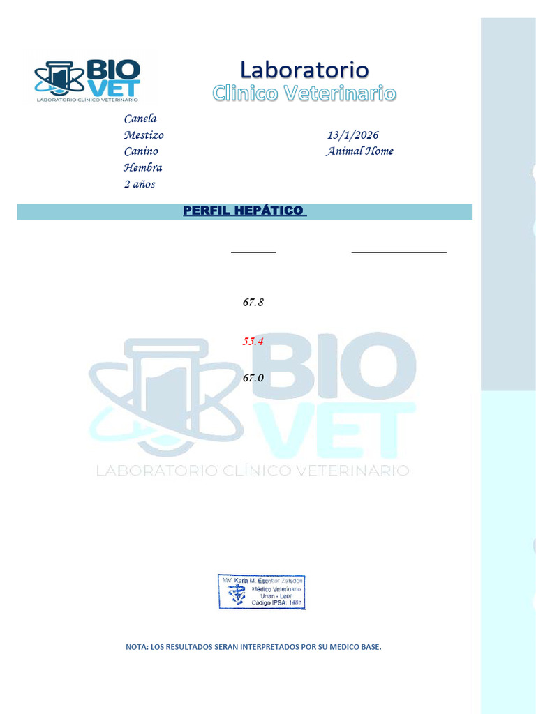 Perfil Hepático 1301 Px- Canela | PDF