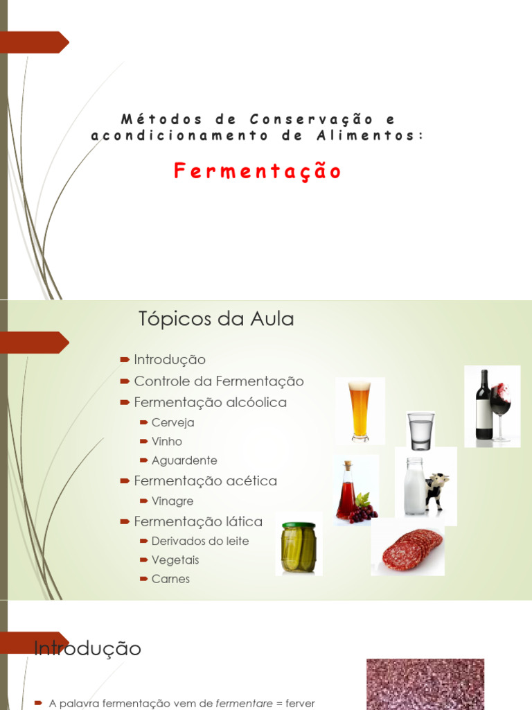 Uso de Fermentacao e Defumacao | PDF | Conservas | Lacticínios