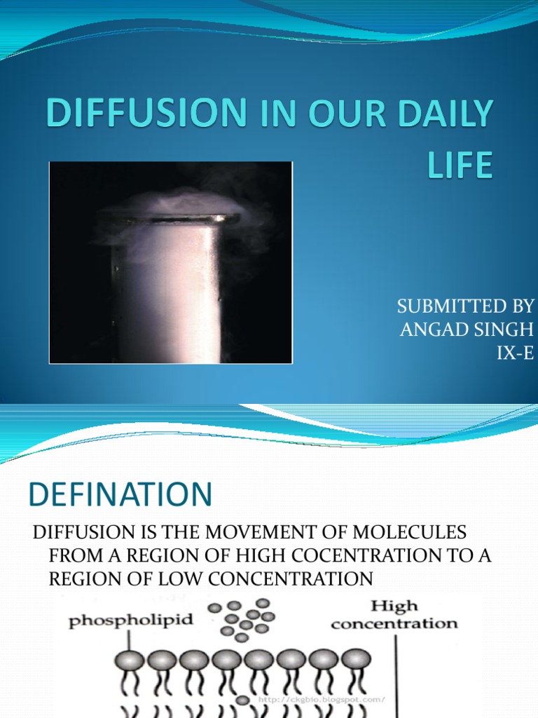 Diffusion in Our Daily Life | PDF