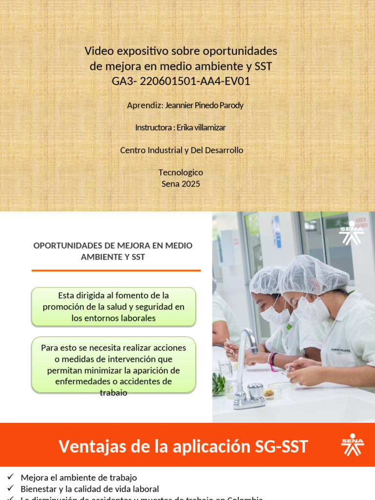 650048733-Video-Expositivo-SST-GA3-220601501-AA4-EV01 | PDF | Entorno ...