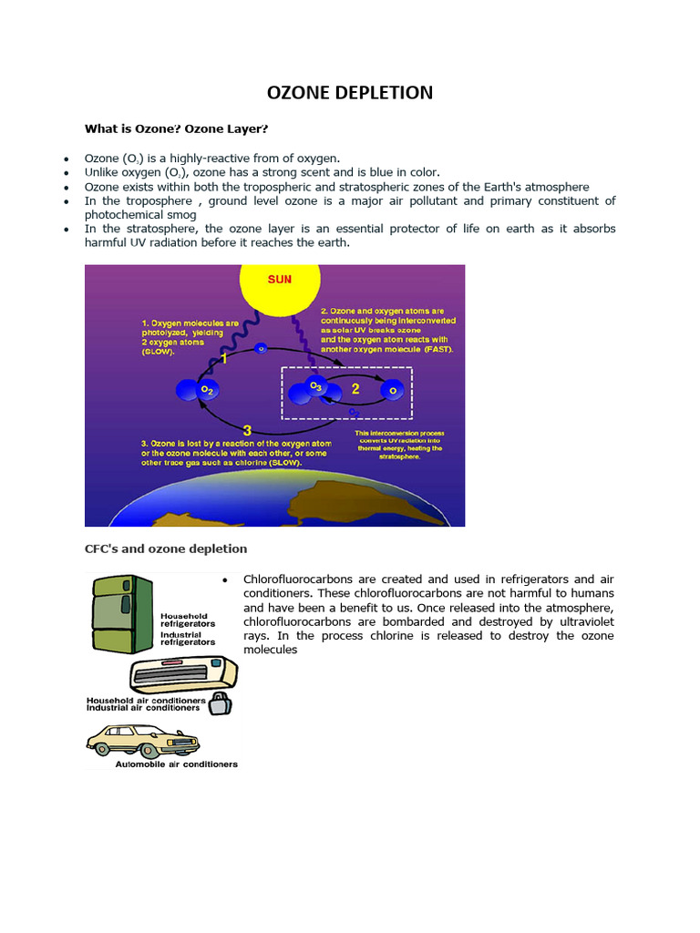 ENVIRONMENTAL SCIENCE Ozone and Its Depletion | PDF | Ozone Depletion ...