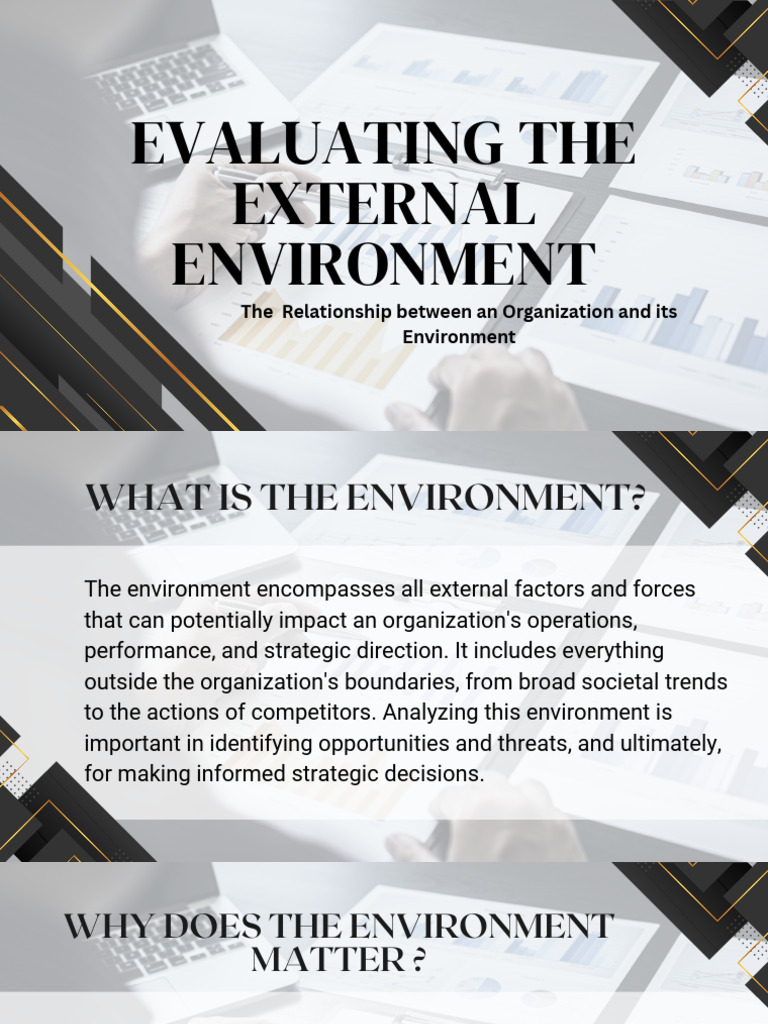 Analyzing External Business Environment | PDF | Marketing | Competition