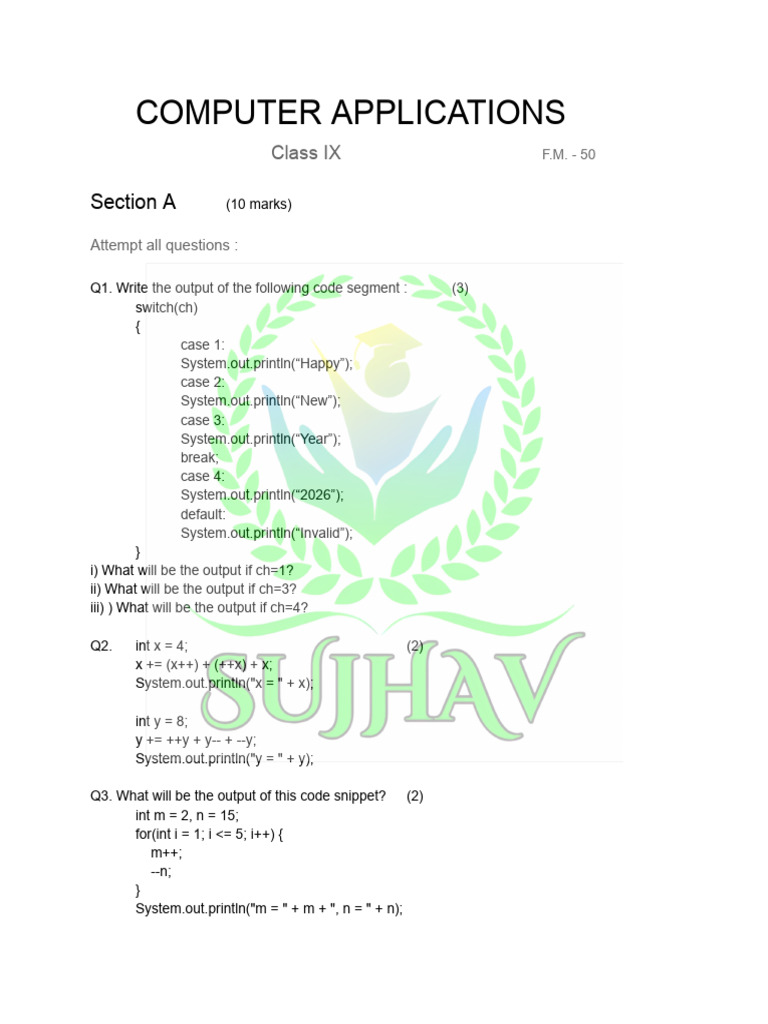 Class IX Computer Applications Exam Guide | PDF