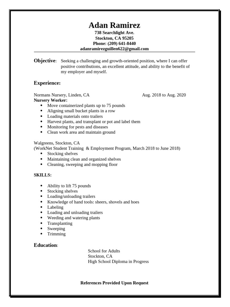 Resume, Adan Ramirez | PDF