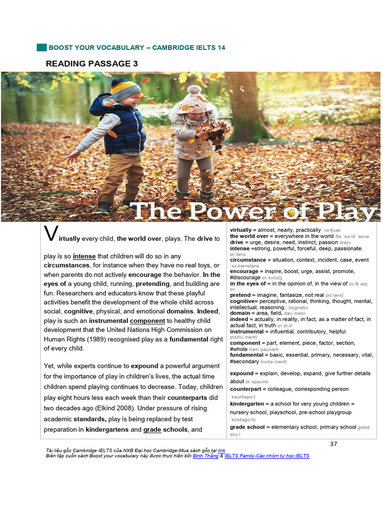 Importance of Play in Child Development | PDF | Motivation | Motivational