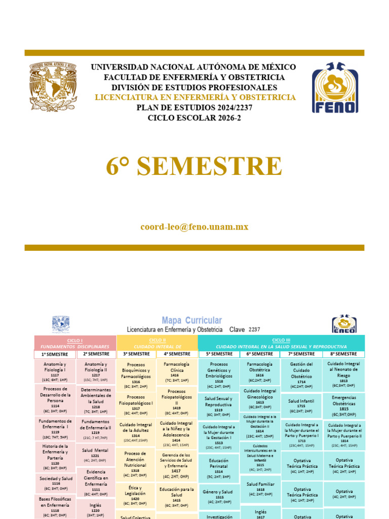 6 LEO 2026-2 | PDF | Partería | Reproducción humana