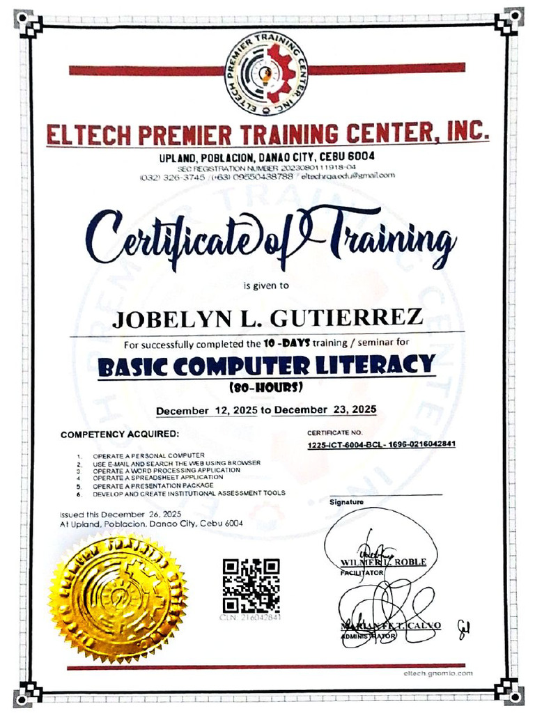 Basic Computer Literacy | PDF
