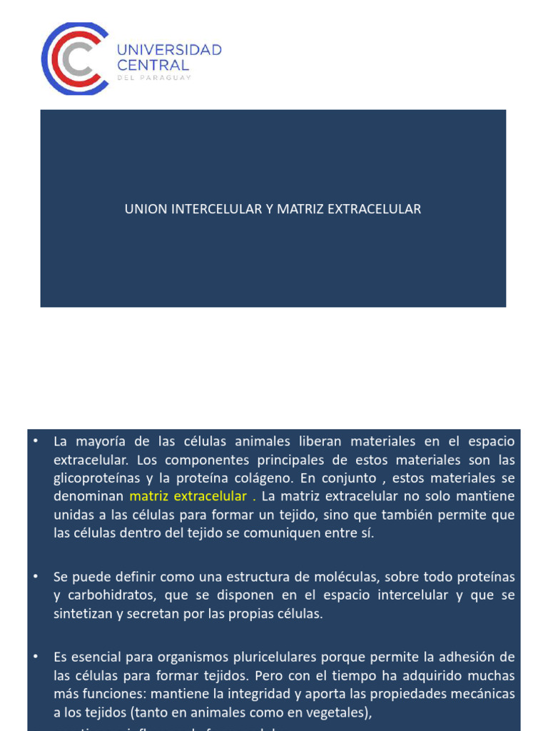 Clase 7.Unidad VI. UniÃ³n intercelular y Matriz extracelular | PDF | La ...