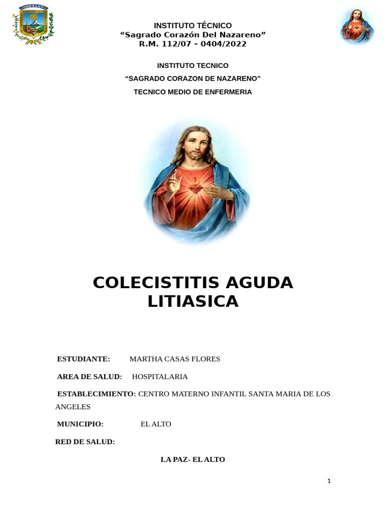 Instituto Tecnico Martha Terminado | PDF | Vesícula biliar | Bilis