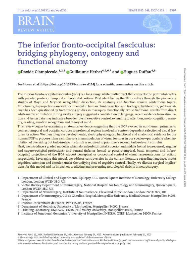 Inferior Fronto-Occipital Fasciculus Explained | PDF | Parietal Lobe ...