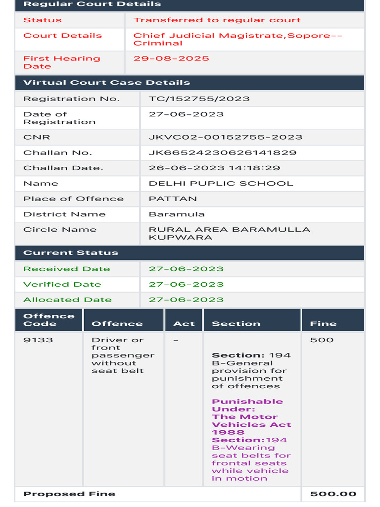 Court Case: Seat Belt Violation Details | PDF