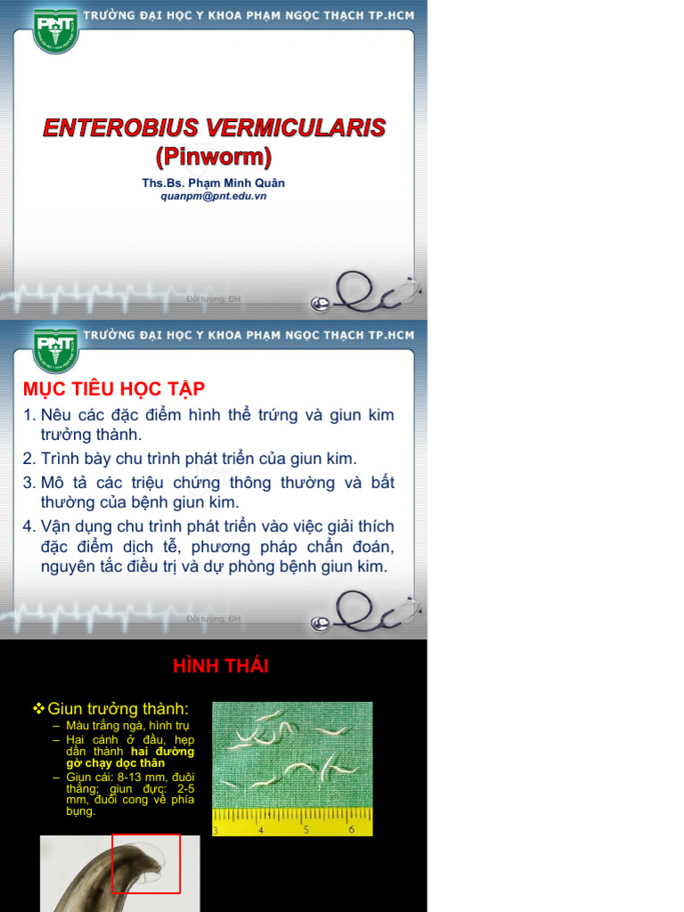 Giun Kim | PDF