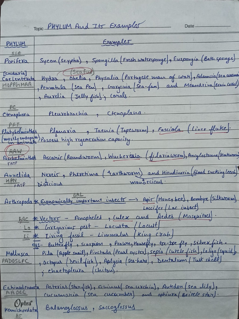 Overview of Animal Phyla and Classes | PDF