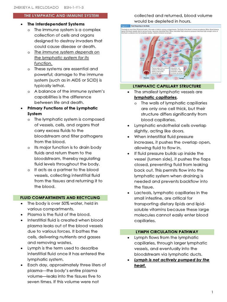 Understanding the Immune and Lymphatic Systems | PDF | Lymphatic System ...