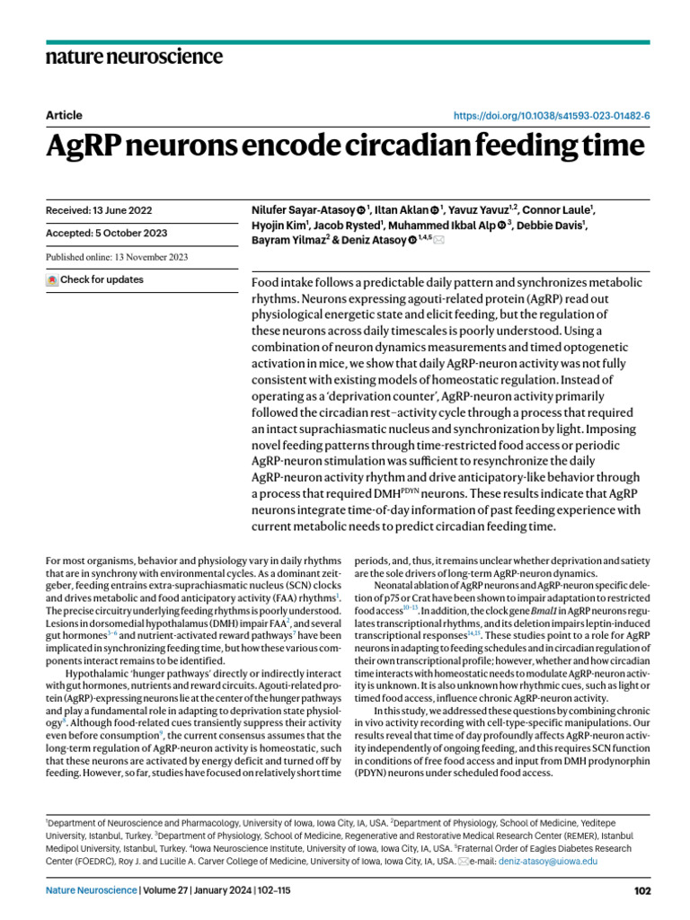 AgRP Neurons and Circadian Feeding Rhythms | PDF | Circadian Rhythm ...