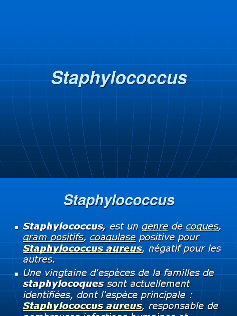 Le Staphylococcus | Staphylococcus | Staphylocoque doré