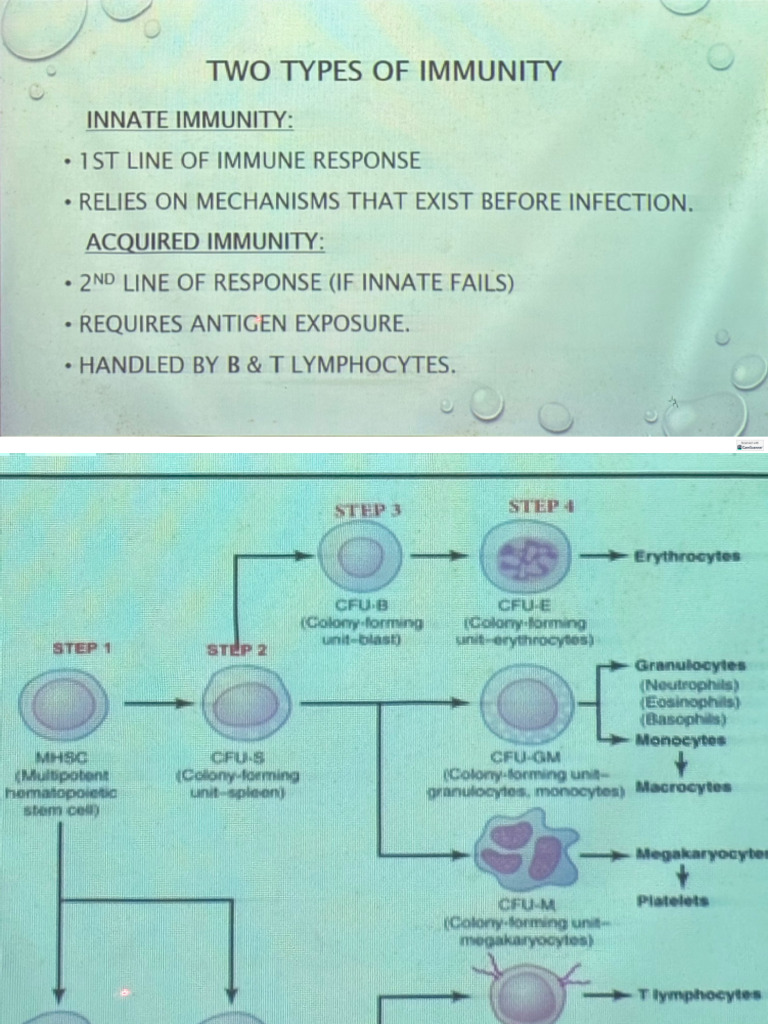 Cell Mediated Immunity-5th May 2025 | PDF