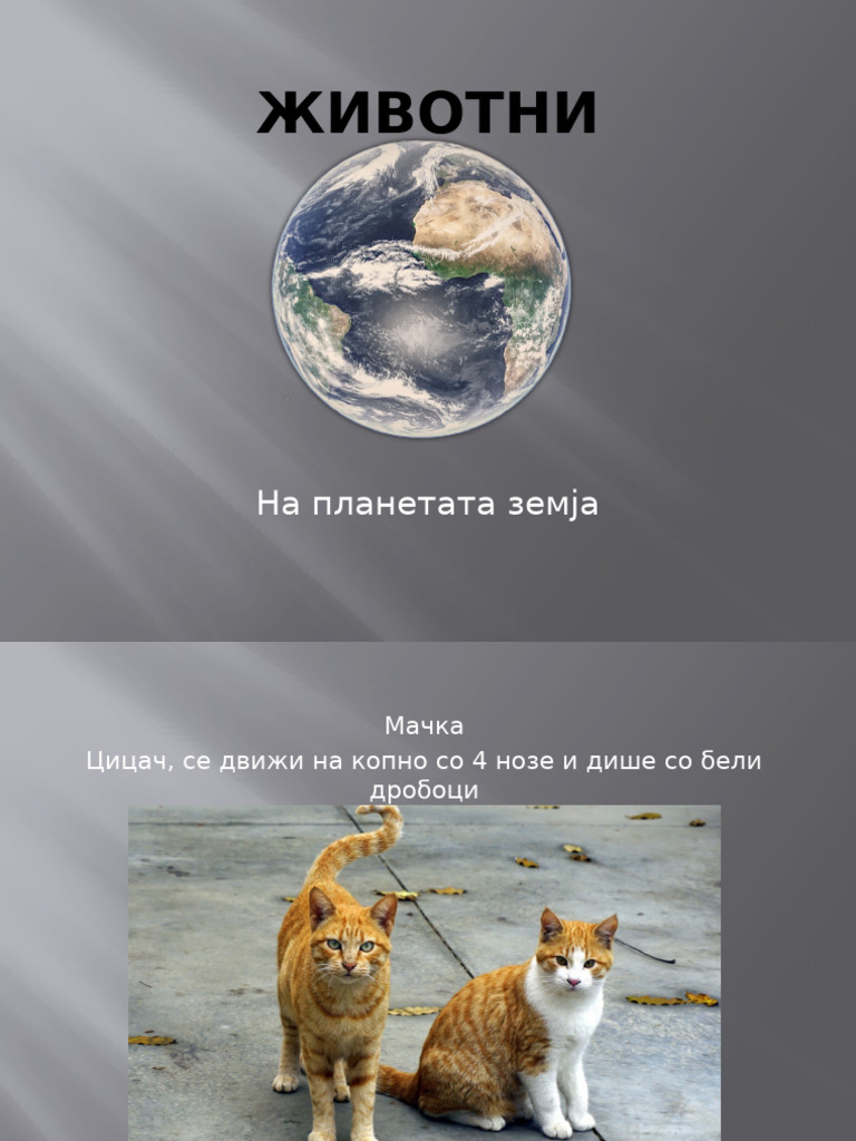 Slajdovi Zivotni | PDF