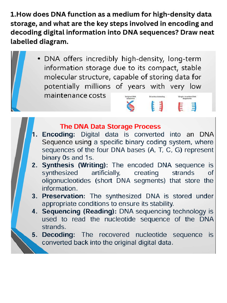 DNA Data Storage and Biological Computing Insights | PDF