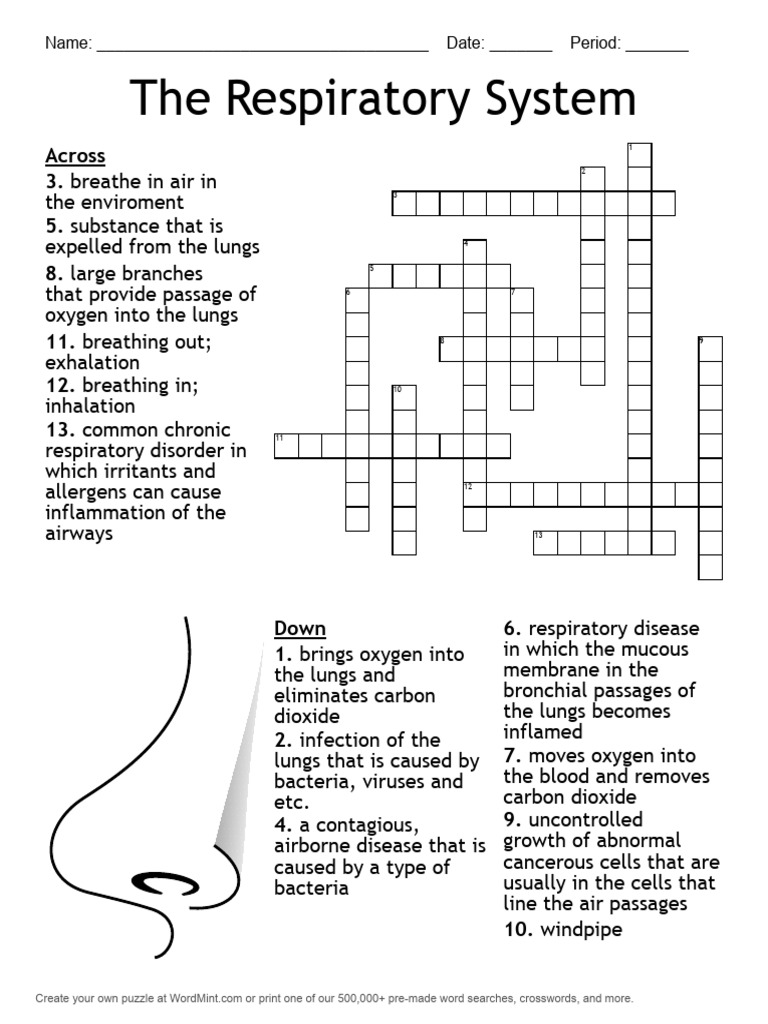 Puzzle the Respiratory System 153d8 631ba26a | PDF | Respiratory System ...