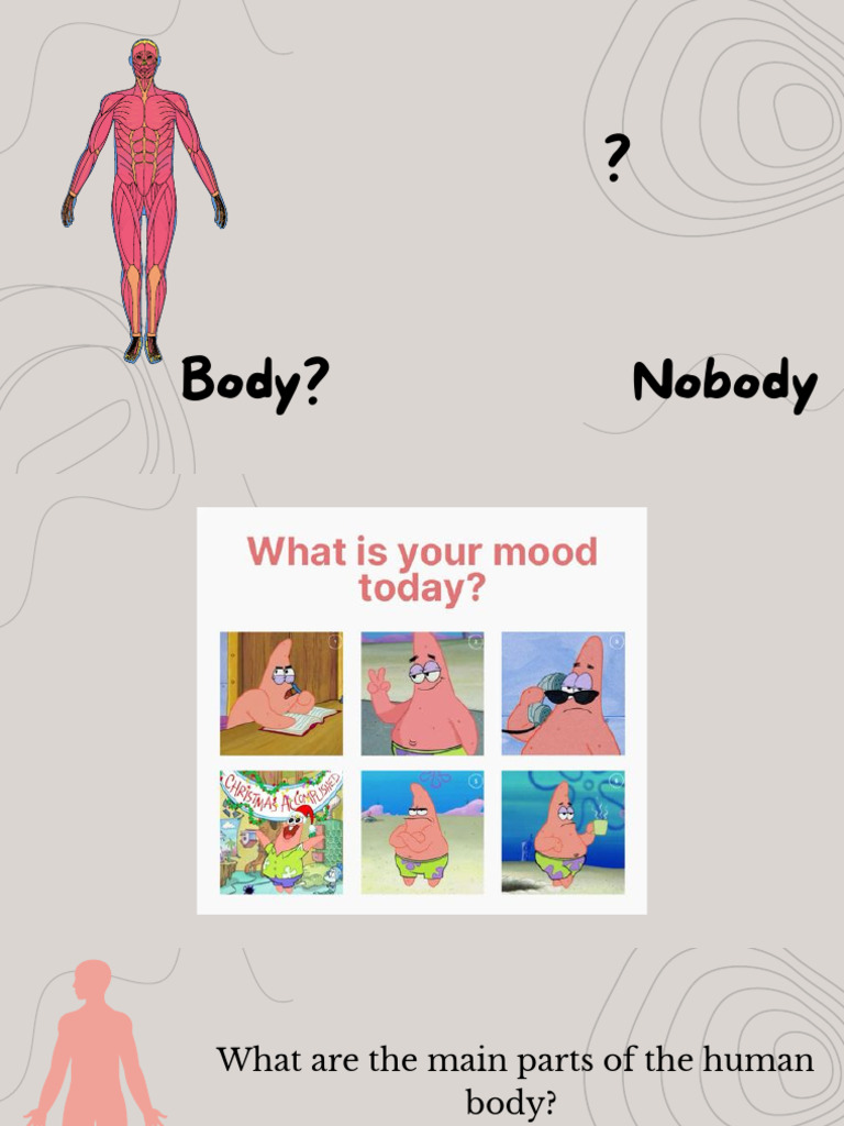 Body | PDF