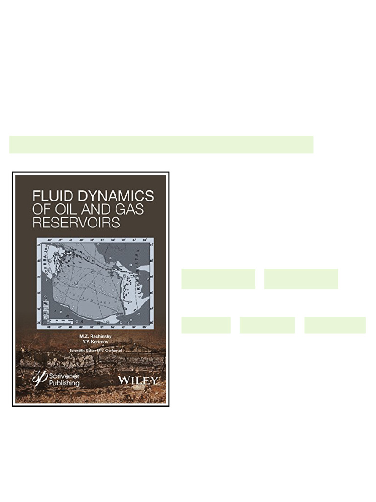 Fluid Dynamics of Oil and Gas Reservoirs 1st Edition M. Z. Rachinsky ...