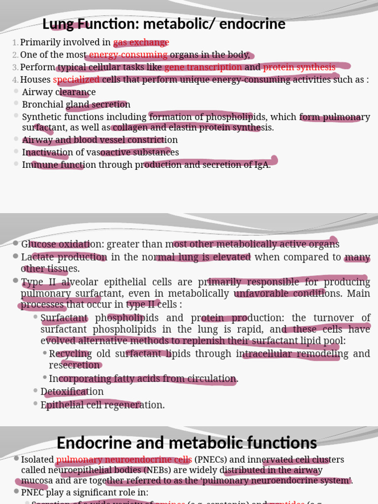 Lung Function: Metabolic and Endocrine Roles | PDF | Neuroendocrine ...