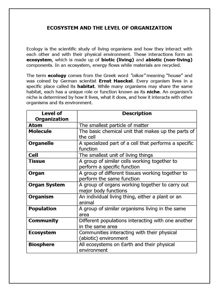 Understanding Ecosystems and Organization Levels | PDF