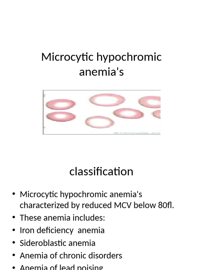 Microcytic Hypochromic Anemia Overview | PDF | Anemia | Hematology