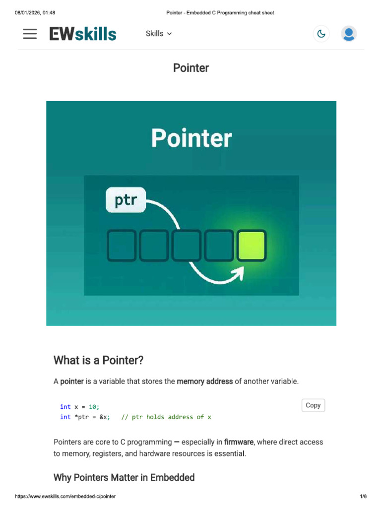 5 Pointer | PDF
