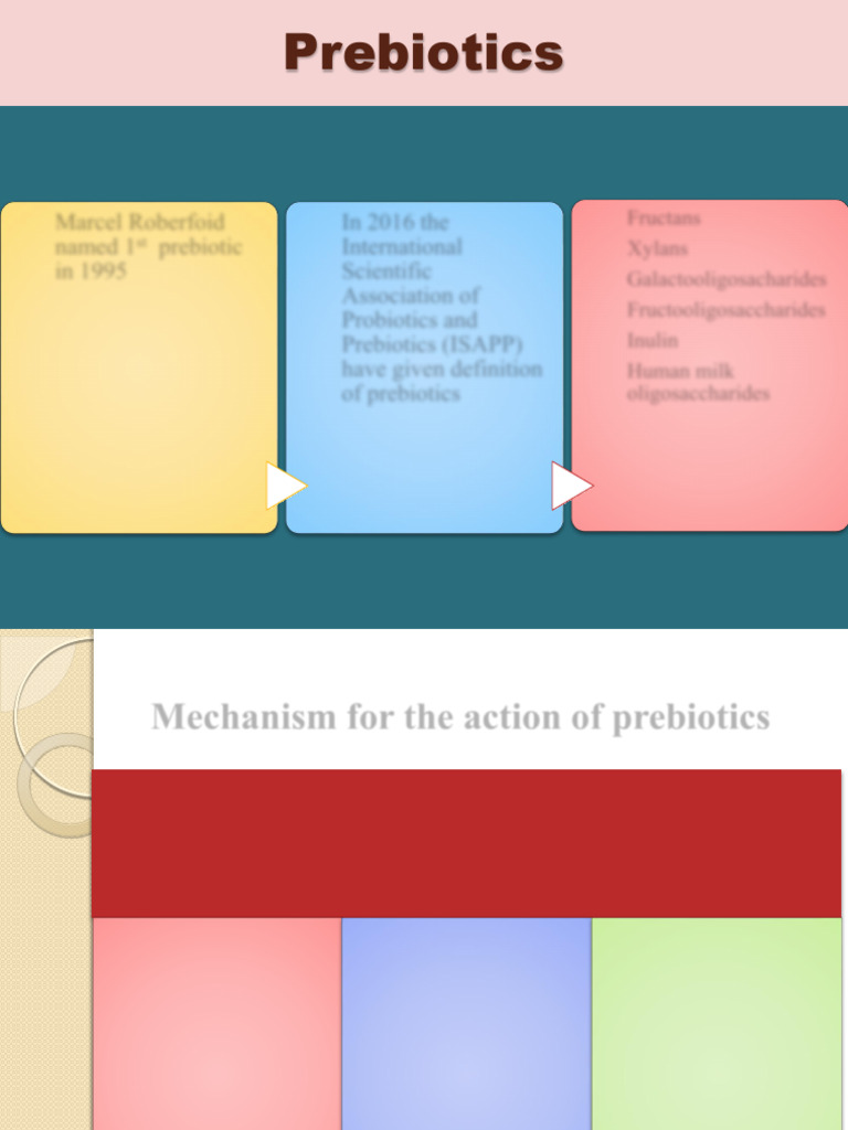 Lec-5_Prebiotics_&_Probiotics | PDF | Probiotic | Lactobacillus