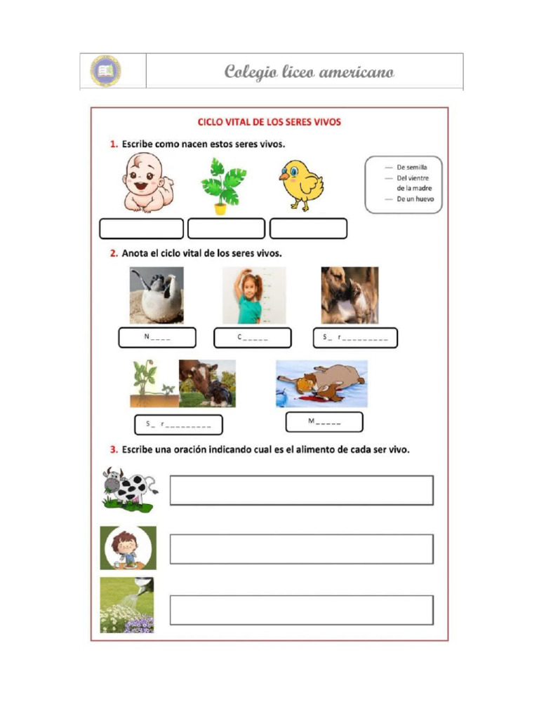 Regla de 3 Simple Direc y Inv | PDF