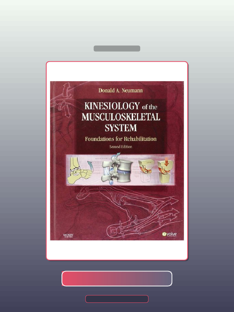 Kinesiology of the Musculoskeletal System Foundations for ...