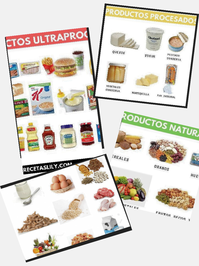 Grey and White Grid Elegant Vision Board Photo Collage Cover Page A4 ...