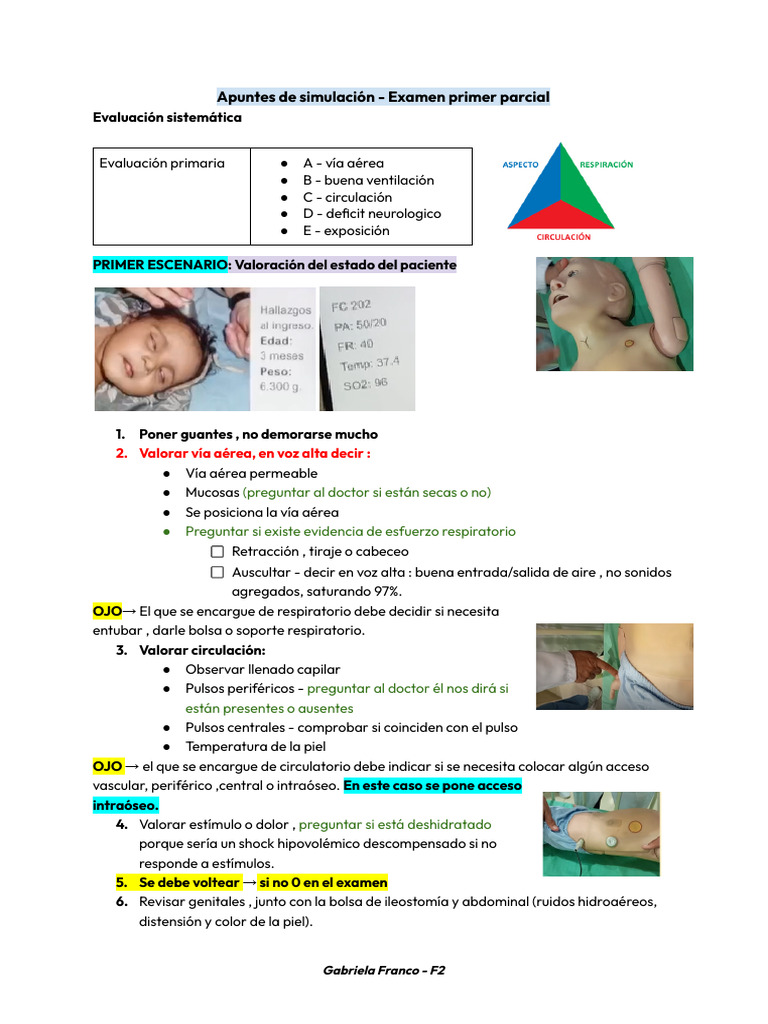 Arroba Apuntes de simulacion | PDF | Reanimación cardiopulmonar ...