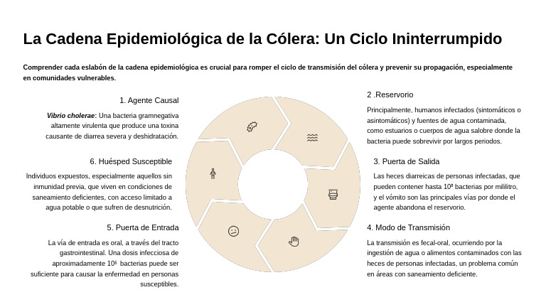 Cadena Epidemiológica del Cólera | PDF | Cólera | Diarrea