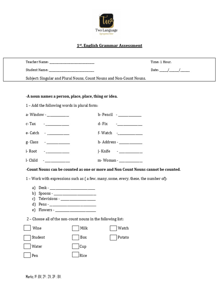 English Grammar Assessment: Nouns | PDF