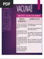 Lineamientos Generales VPH 2025 | PDF
