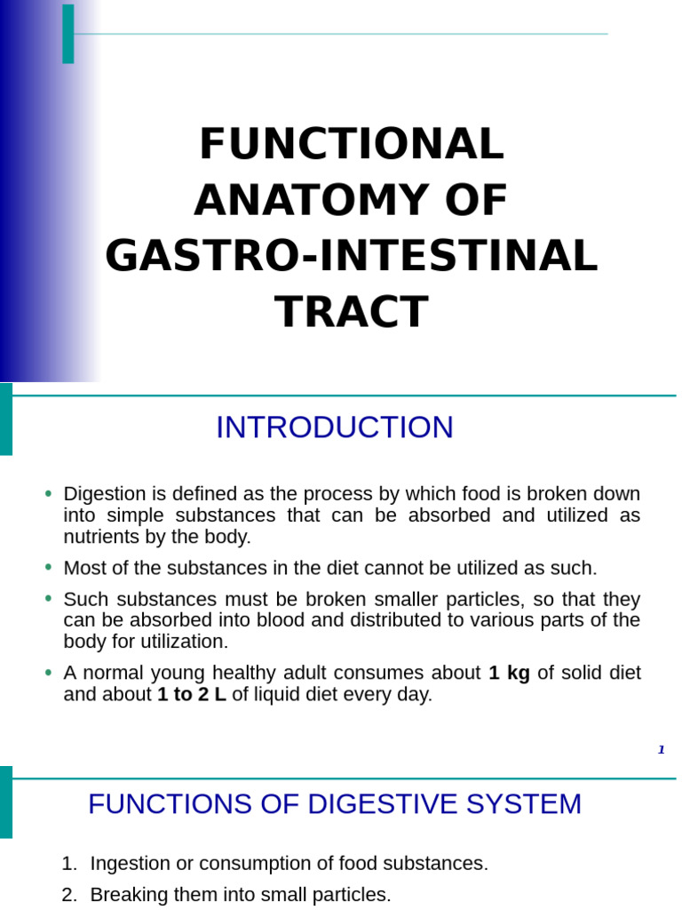 Functional Anatomy of GI Tract (1st Yr Class) | PDF | Stomach | Small ...