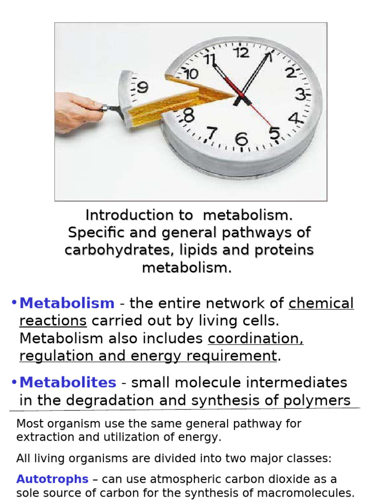 Introduction to Metabolism. Specific and General Pathways of ...
