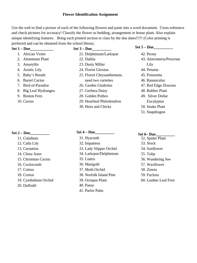 Flower Identifcation Assignment, 2024 | PDF | Garden Plants | Botany