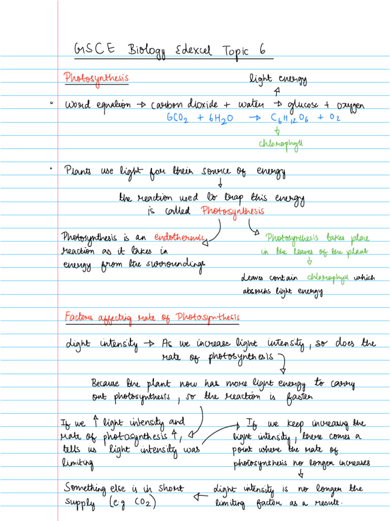 Note 25 Oct 2025 | PDF | Photosynthesis | Leaf