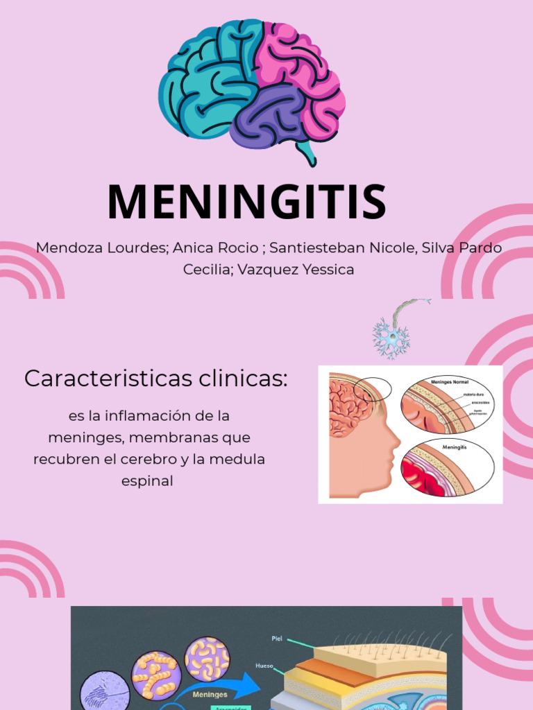 Meningitis: Síntomas, Tratamiento y Prevención | PDF