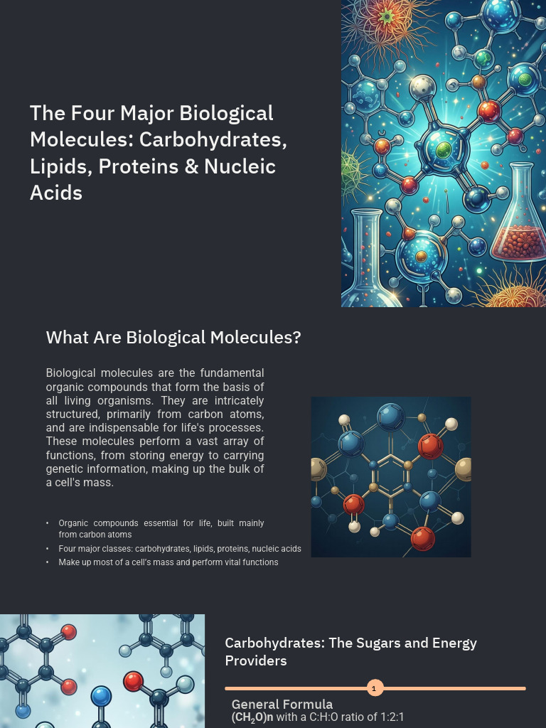 The Four Major Biological Molecules Carbohydrates Lipids Proteins and ...