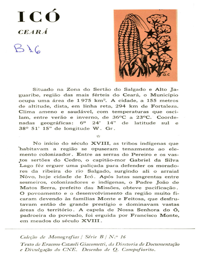 col_mono_b_n16_ico | PDF | Brasil