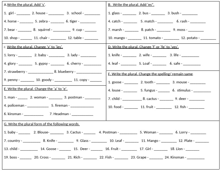 Plural Form 1 | PDF