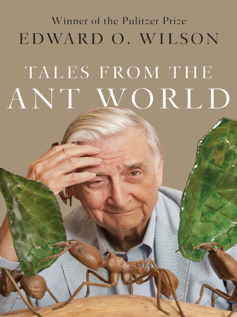 Tales From The Ant World | PDF | Ant | Zoology